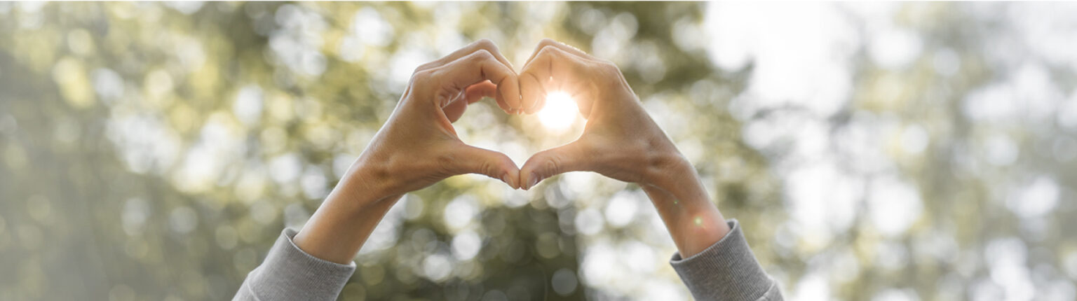 Company - Clear Balance